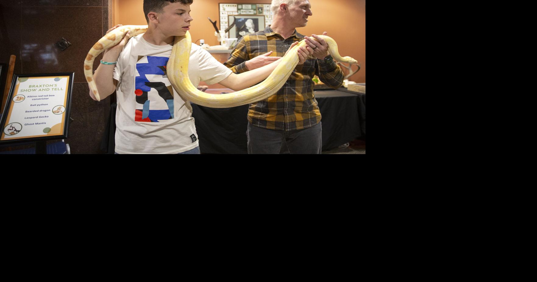 Creepy Crawly Critters at the Wyoming State Museum | Gallery ...