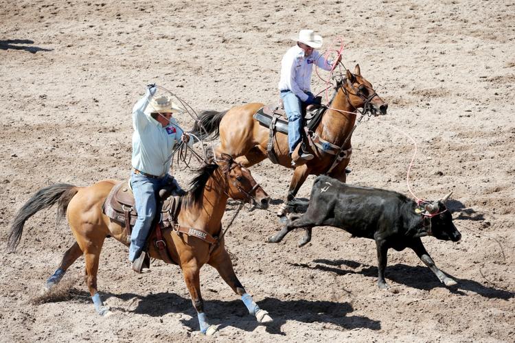 National Team Roping presents Western Frontier Labor Day event in ...