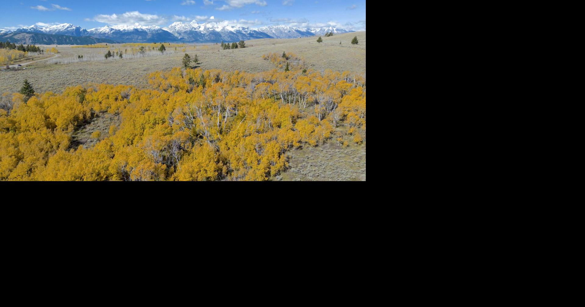 The next hurdle for the Kelly parcel? Timing. | Local News ...
