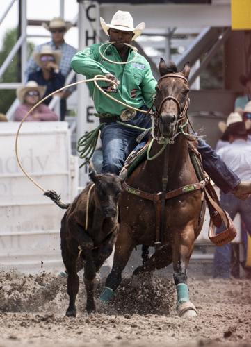 Josh Frost rolls into CFD bull riding final | Cfd | wyomingnews.com