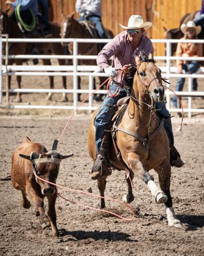 Team ropers qualify for spots at Cheyenne Frontier Days | Cfd ...