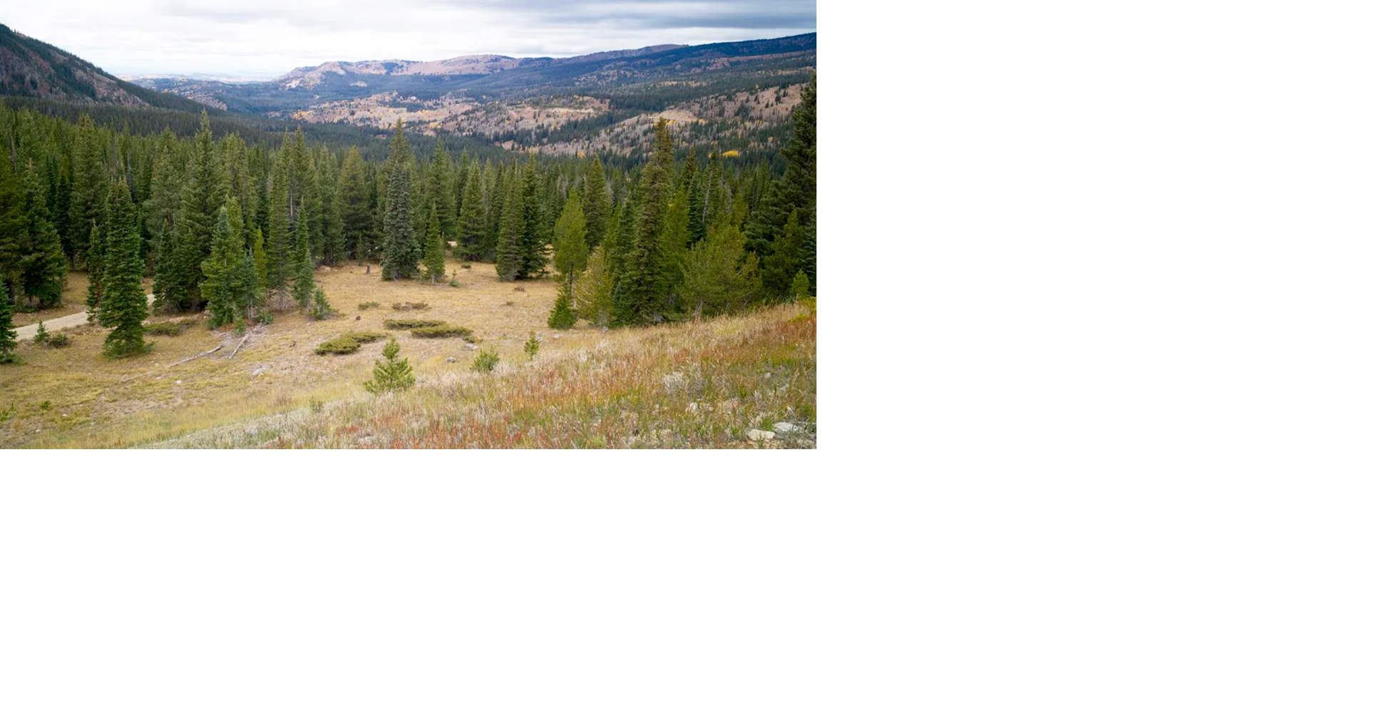 Plans for 264-foot dam above Little Snake River spur conflict | News ...