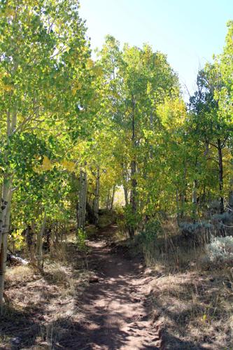 New trail completes route from edge of town to Happy Jack Recreation ...