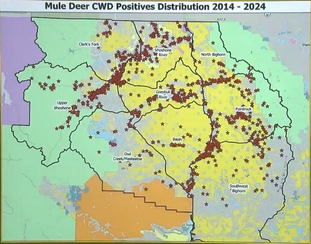 Despite CWD surge, northwest Wyoming mule deer hunters, outfitters ...