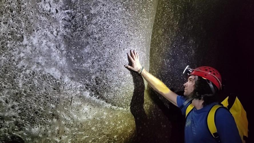 Scientists discover world’s largest spider web | National | wyomingnews.com