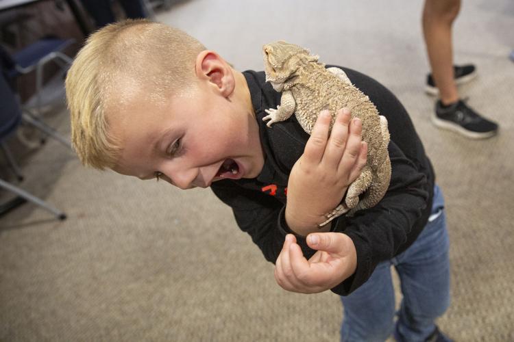 Creepy Crawly Critters at the Wyoming State Museum | Gallery ...
