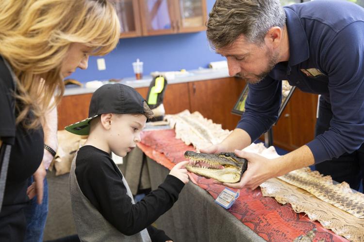 Creepy Crawly Critters at the Wyoming State Museum | Gallery ...