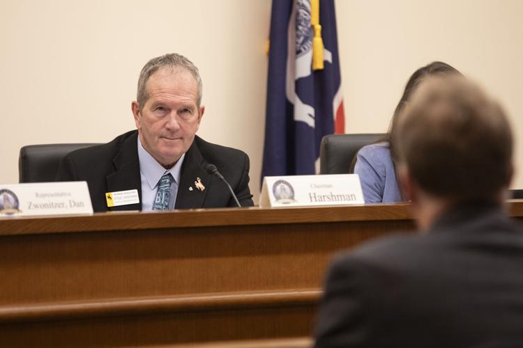 Bill to replace property tax with sales tax dies in Wyoming House ...