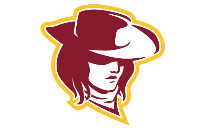 PREP SOFTBALL: Plainsmen down visiting Bison | Laramie High ...