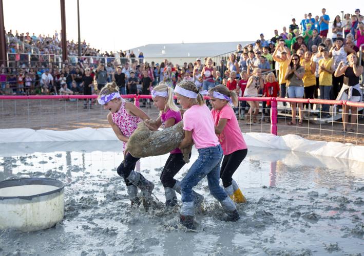 Laramie County Fair Pig Wrestling | Gallery | wyomingnews.com