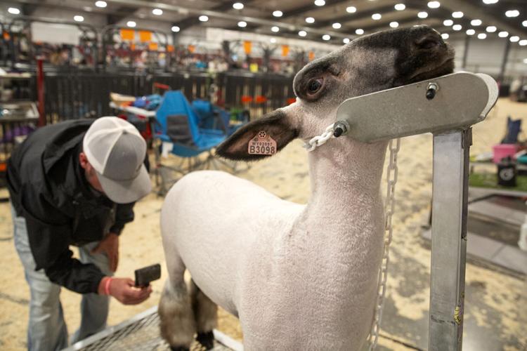 Laramie County Fair connects families through agriculture ...