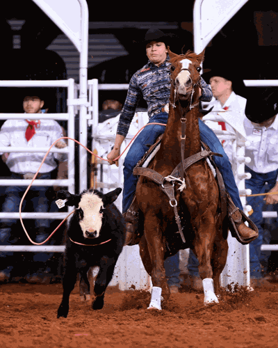 CFD win changed Sawyer Gilbert's life | Rodeo | wyomingnews.com