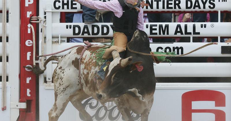 Six miniature bull riders are competing at Cheyenne Frontier Days this ...