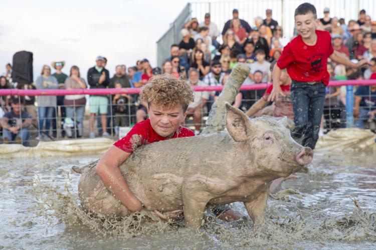 Pig Wrestling | Gallery | wyomingnews.com