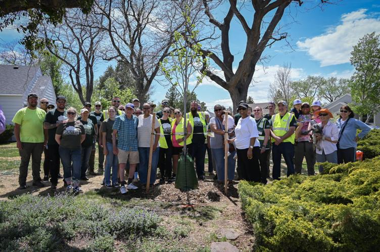 Rooted In Cheyenne plants 2,000th tree, recipient dedicates it to ...