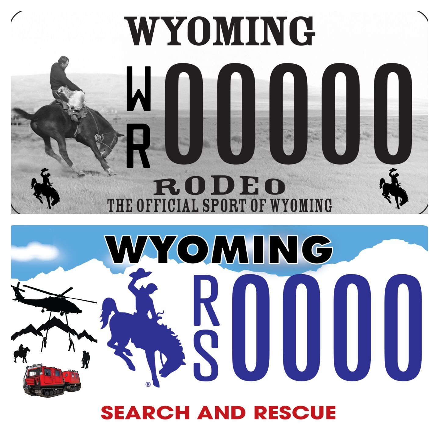 New state laws in 2026: property tax exemptions, new license plates ...