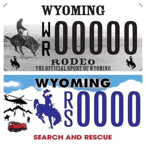 New state laws in 2026: property tax exemptions, new license plates ...