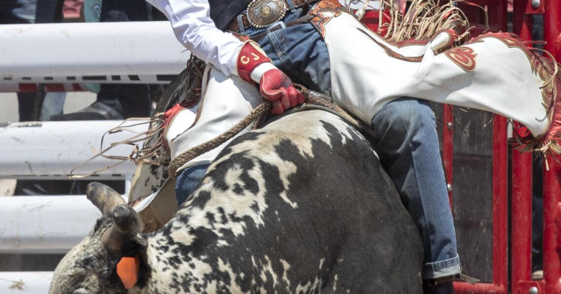 Cooper James, Bull Riding Poster | Cheyenne Frontier Days | wyomingnews.com