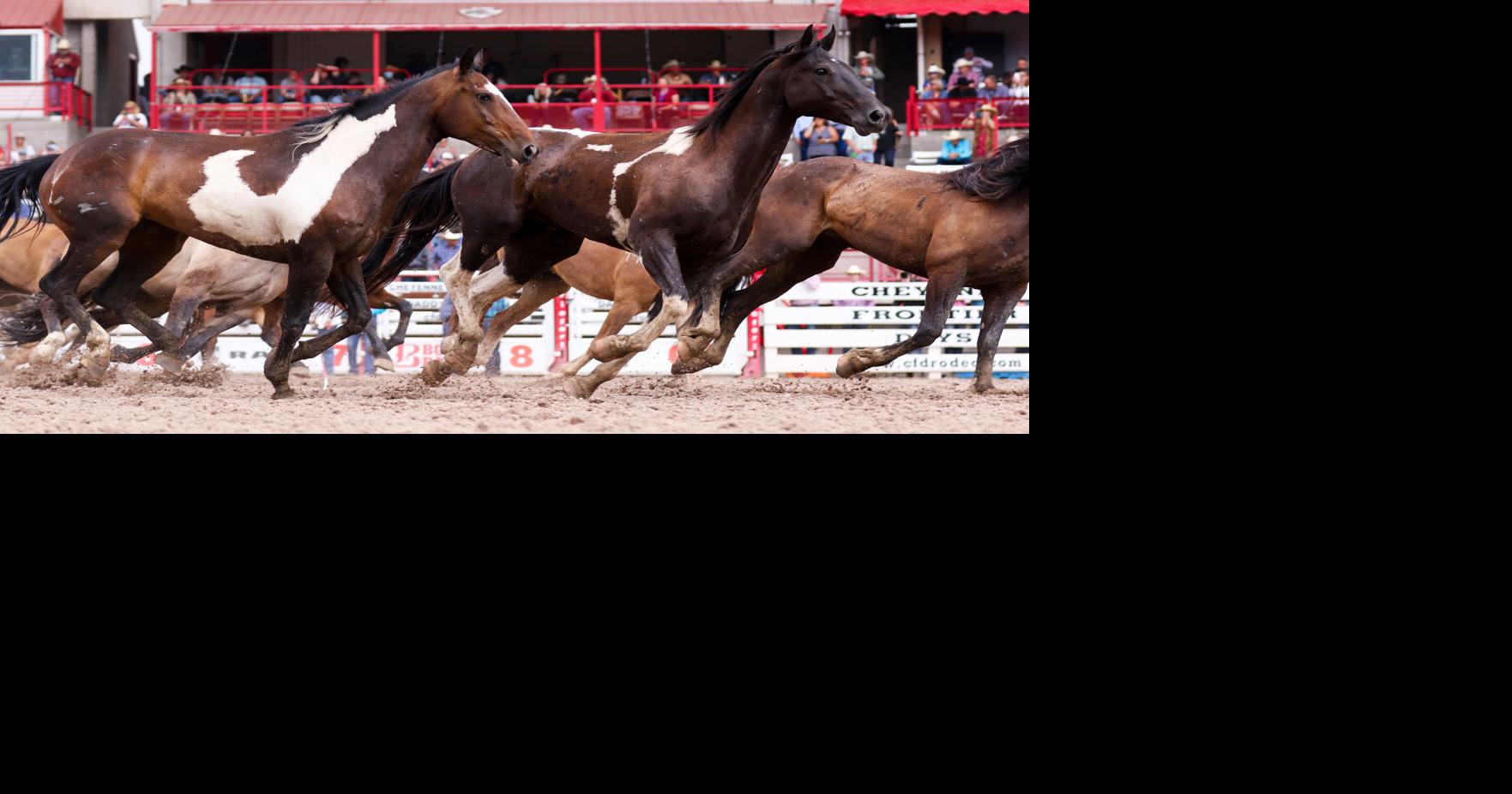 CFD Rodeo Day 8, 7-31-21 | Gallery | wyomingnews.com
