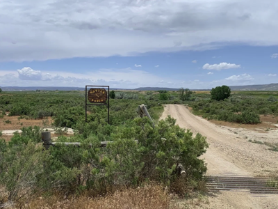 Controversial BLM ranch purchase gets more public input | State ...