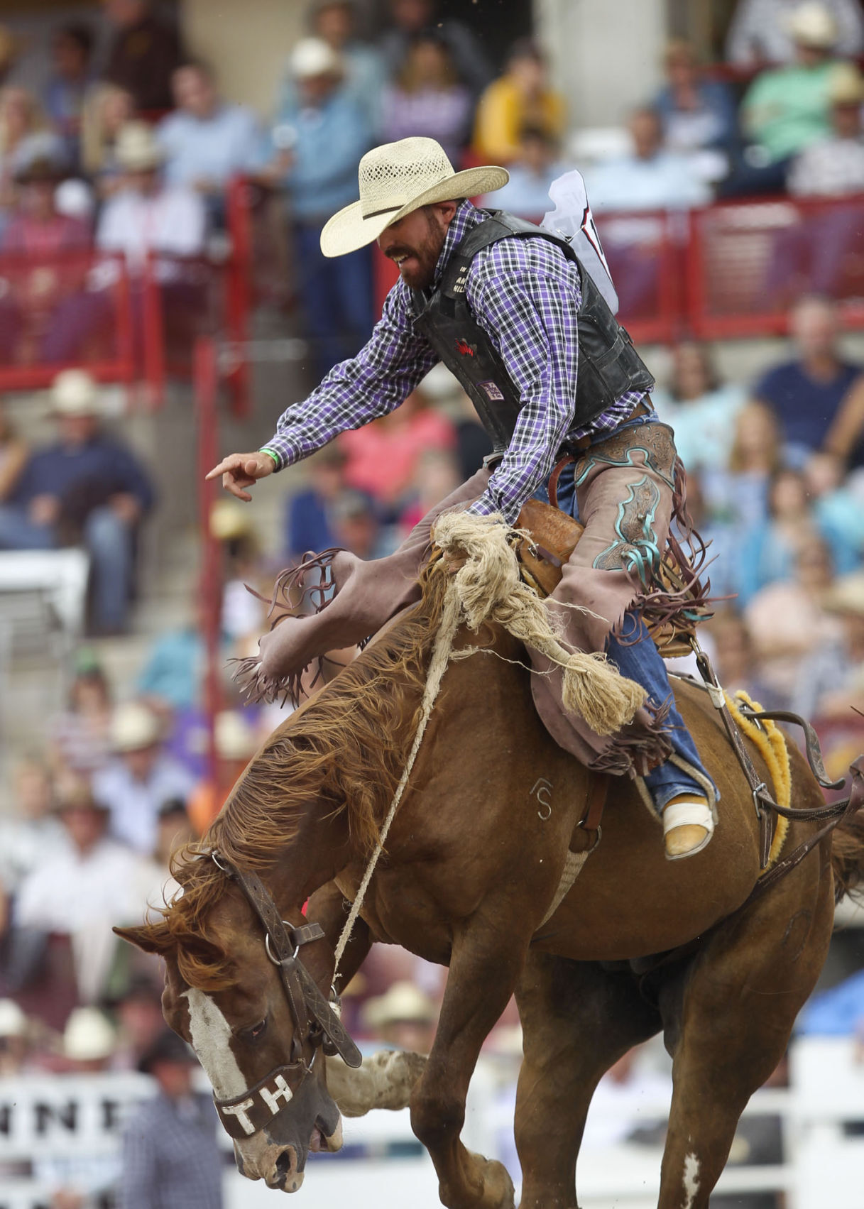 PHOTOS: 121st Cheyenne Frontier Days rodeo - Day 5 | Cfd | wyomingnews.com