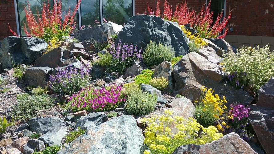 Rocky gardening featured in Rocky Mountain garden tour | | wyomingnews.com