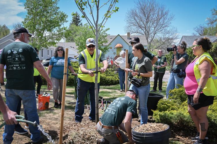 Rooted In Cheyenne plants 2,000th tree, recipient dedicates it to ...