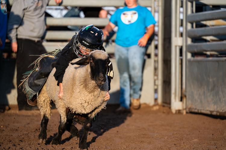 Born to bust: Kids get first rodeo experience through Laramie County ...