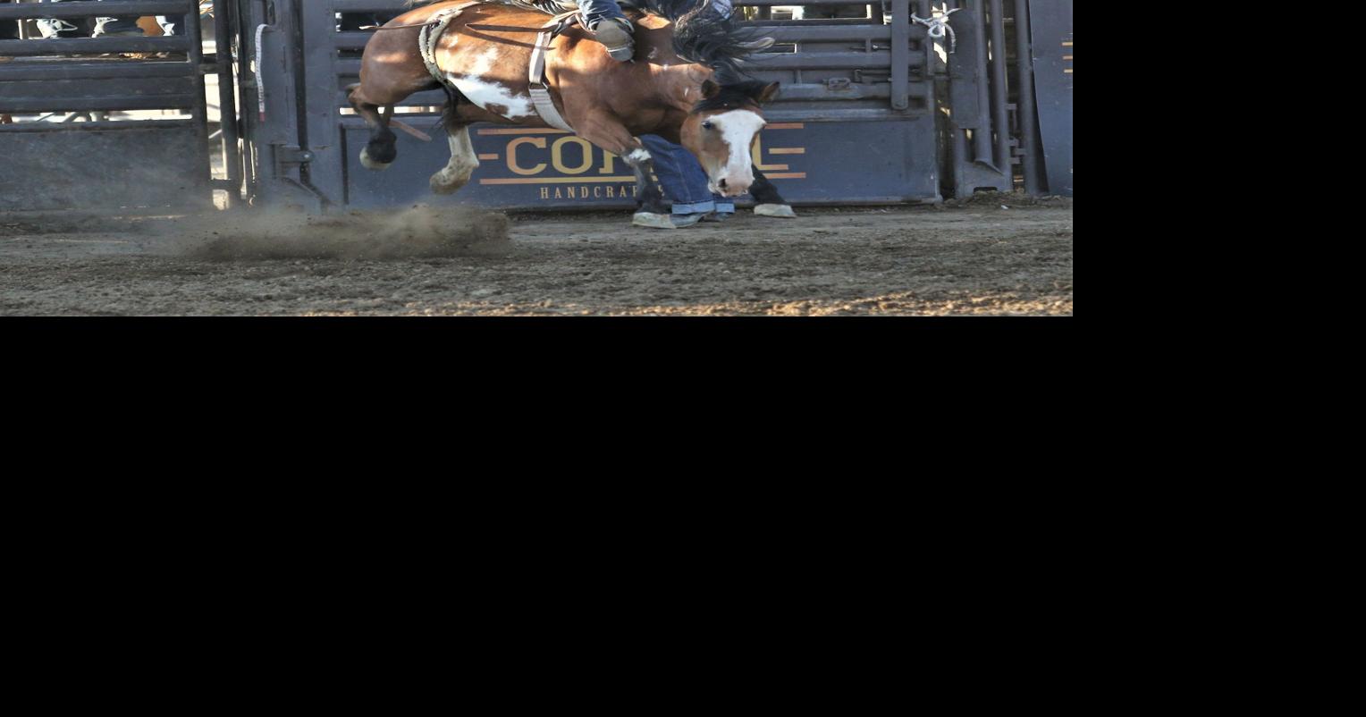 Campbell commissioners back plan to hold rodeo championship in Gillette ...