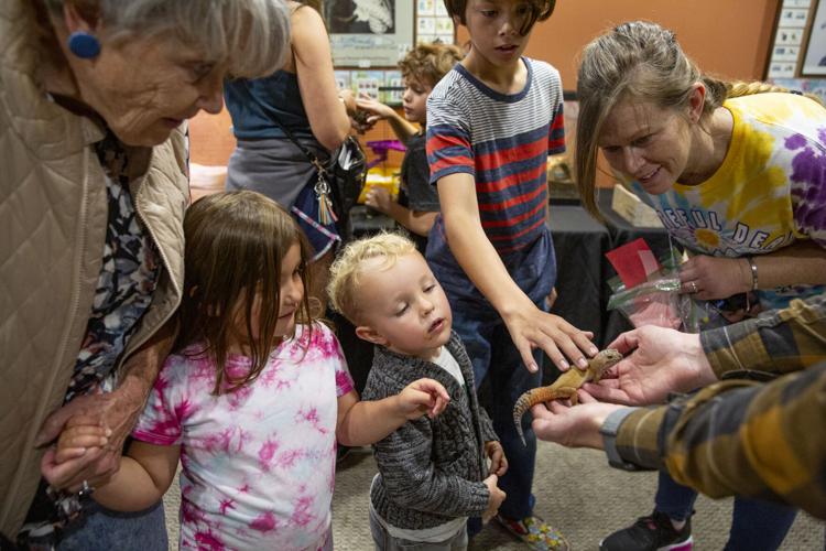 Creepy Crawly Critters at the Wyoming State Museum | Gallery | wyomingnews.com