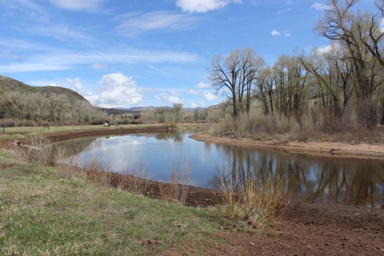 Laramie Ducks Unlimited celebrate progress in creating more wetlands ...