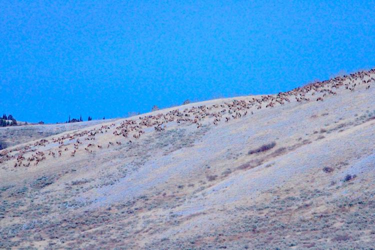 Dusk at the Kelly parcel on the doorstep of Grand Teton National Park ...