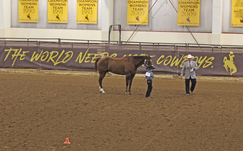 Trotting along: Albany County Fair showcases Junior Horse Show | News ...