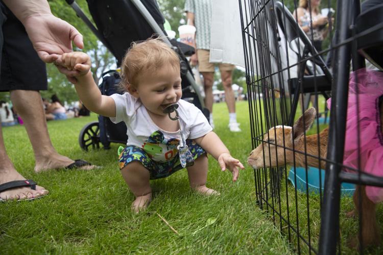 Scenes from Superday | Gallery | wyomingnews.com