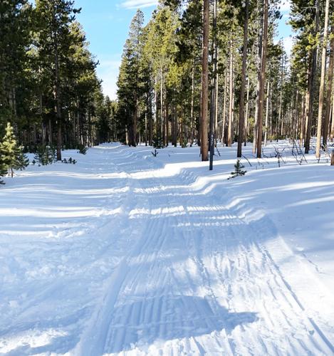 Area guide for cross-country skiing trails, snow conditions | News ...