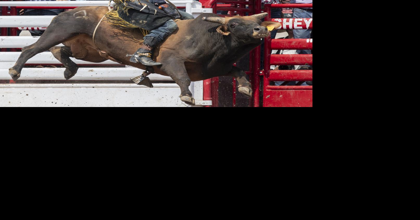 CFD Rodeo, Tuesday July 23 | Gallery | wyomingnews.com