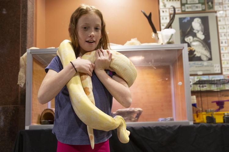 Creepy Crawly Critters at the Wyoming State Museum | Gallery ...