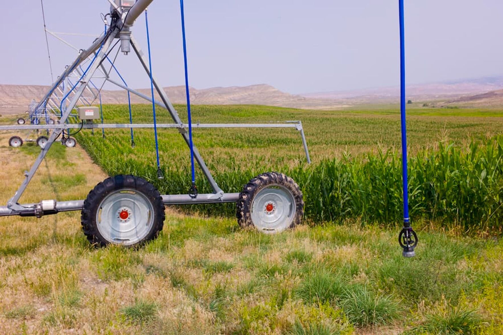 Wyoming ranchers face worst irrigation season in decades as Montana ...