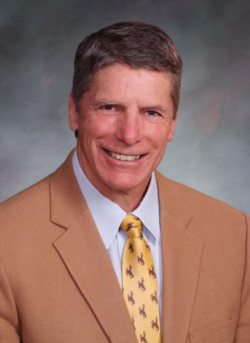 Director of Wyoming GOP Kathy Russell announces run against incumbent Rep. Nicholas | Industry ...