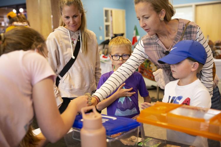 Creepy Crawly Critters at the Wyoming State Museum | Gallery ...