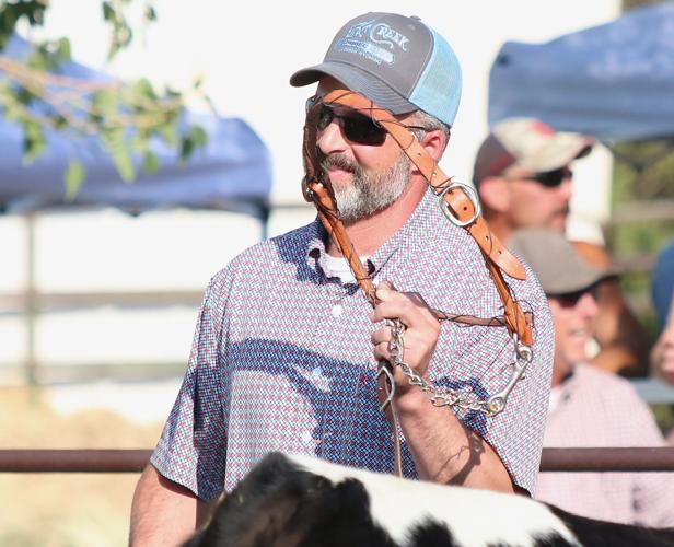 Over the Hill contest swiftly turns to chaos at Albany County Fair ...