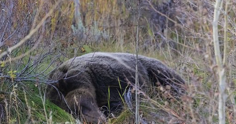Park Service prevails over photographer in traffic dispute at site of ...