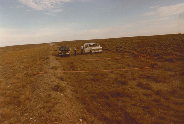 Cold case: Human remains found in 1982 identified through forensic ...