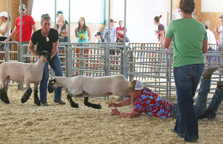 Over the Hill contest swiftly turns to chaos at Albany County Fair ...
