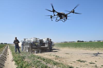 Crop dusting by drone takes flight | News | wyomingnews.com