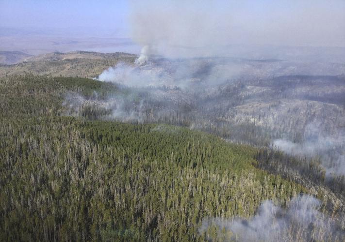 Wyoming to expect an average to normal fire season | News | wyomingnews.com