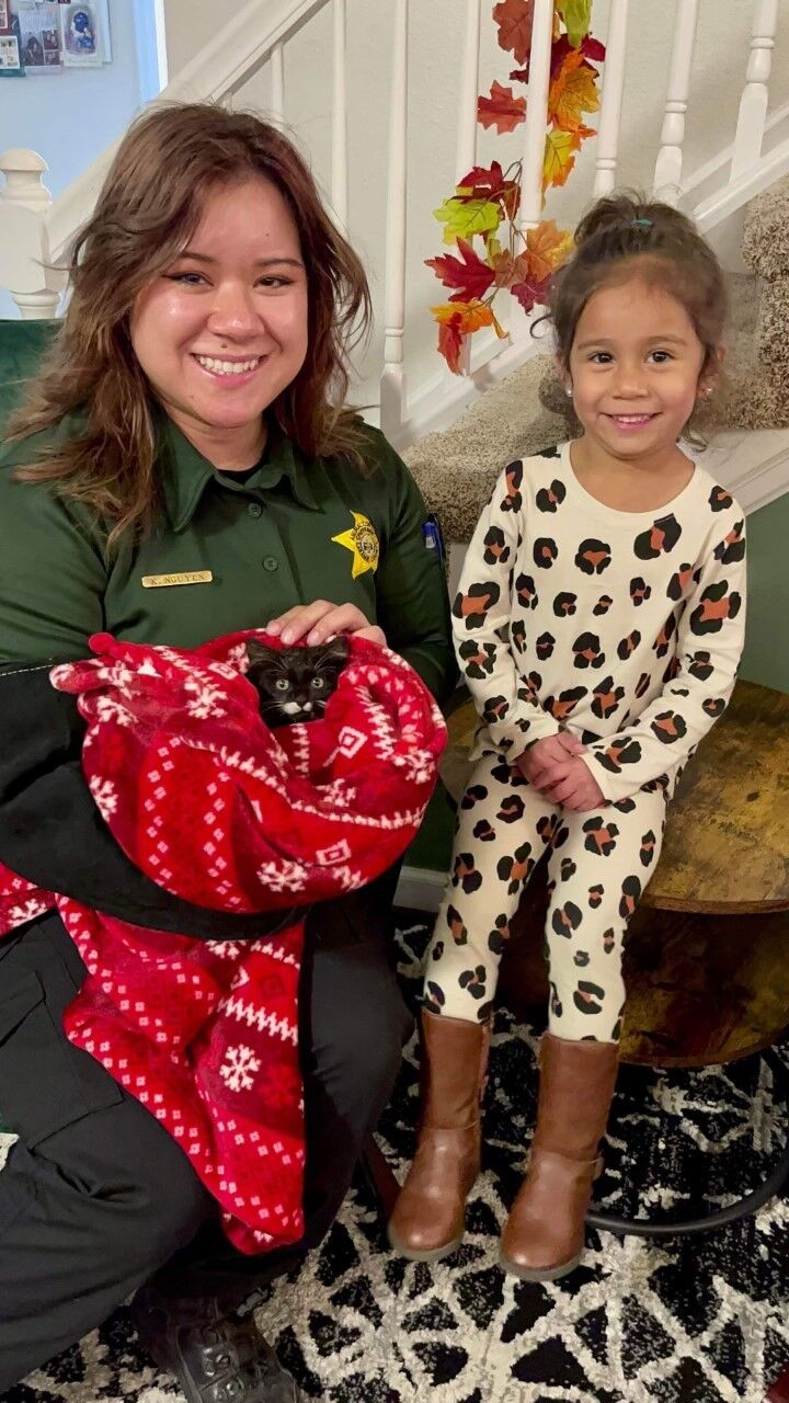 Cheyenne Animal Control saves life of kitten stuck in minivan wheel ...