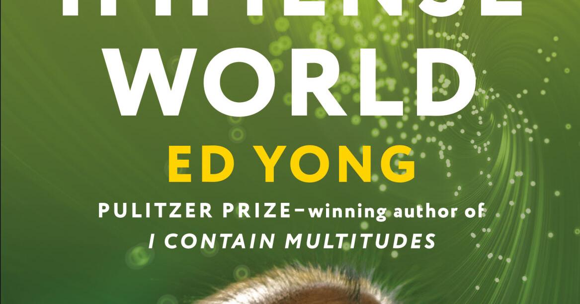 Wonderful book focuses on how creatures perceive the world – their ...