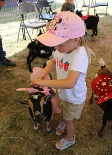 Cupcakes, kittens, community vibes: Residents gather for museum block ...