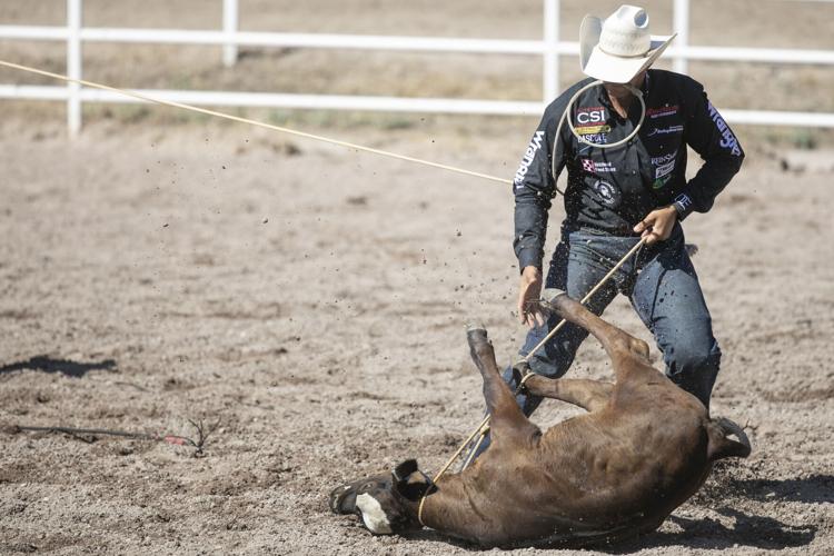 Tie-down roping qualifiers for 127th Cheyenne Frontier Days, 7-17-23 ...